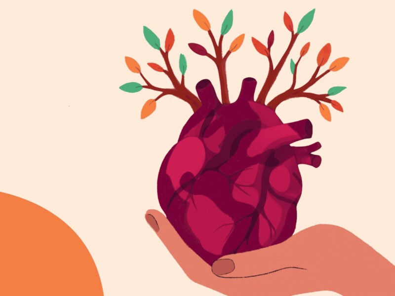 Temas - ESCR-Net - ES