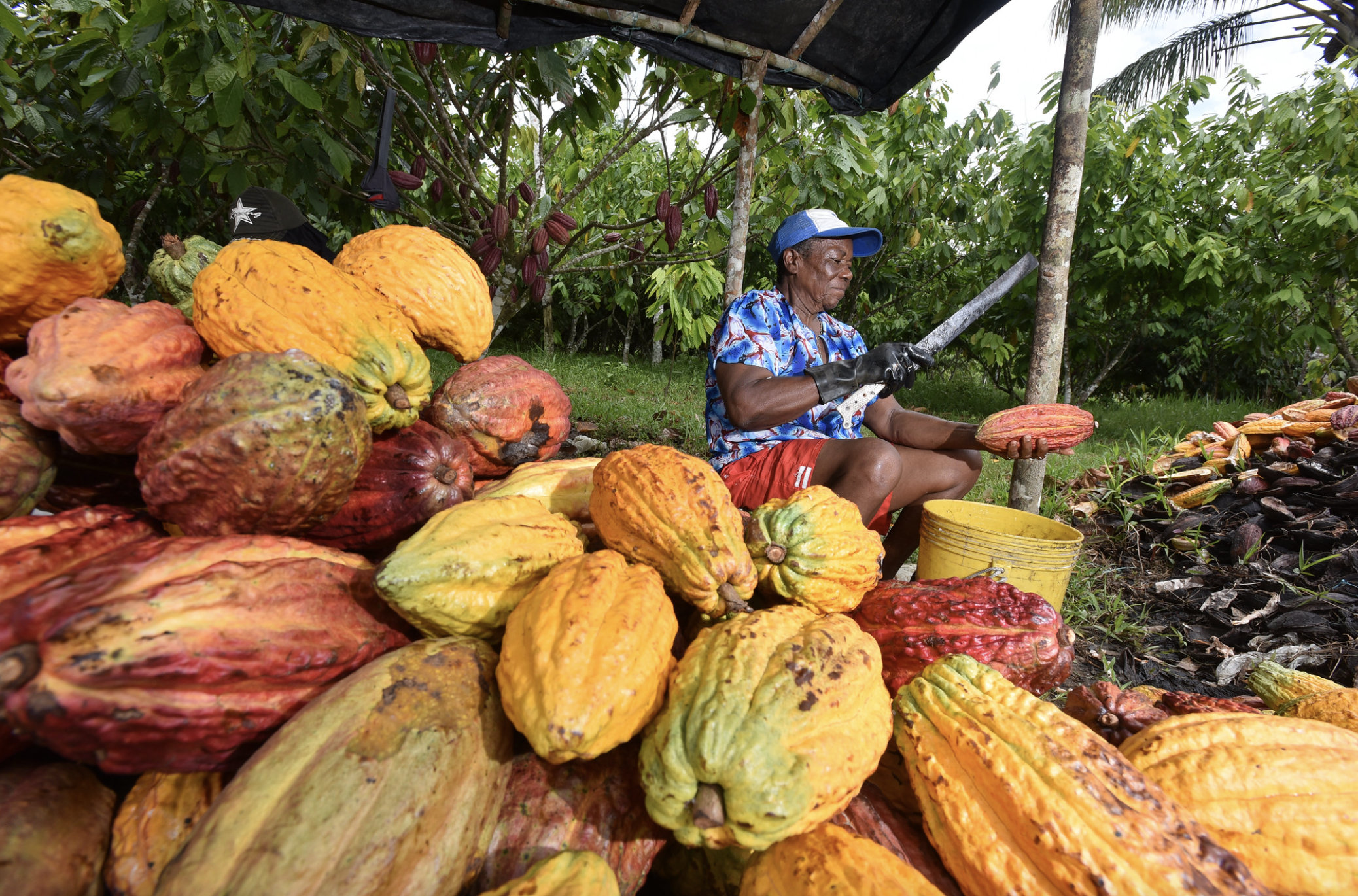 The Right to Food - ESCR-Net