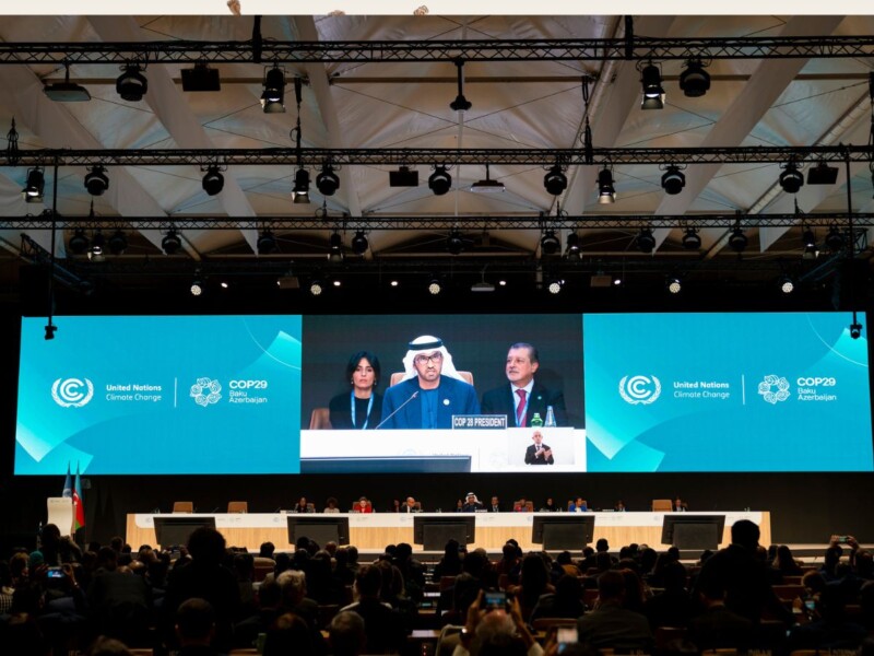 ESCR-Net- International Network for Economic, Social and Cultural ...